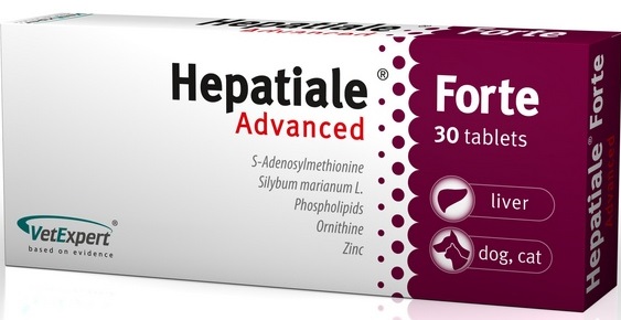 Hepatiale Forte Advanced 30 tabletek - - Produkty - Zookrak