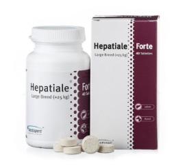 Hepatiale Forte Large Breed 550 mg 40 tabletek - - Produkty - Zookrak