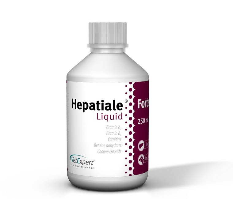 Hepatiale Forte Liquid 250 ml - - Produkty - Zookrak
